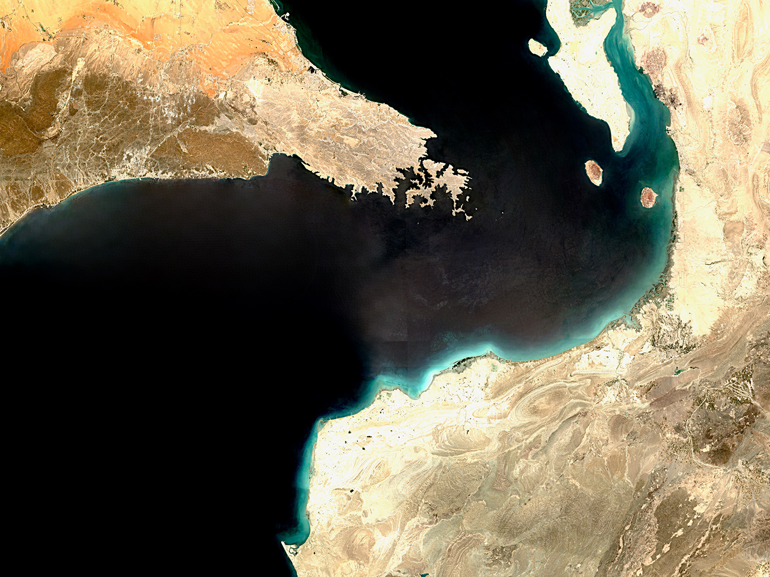 IMO unveils long-awaited Hormuz evacuation plan - Marine Log